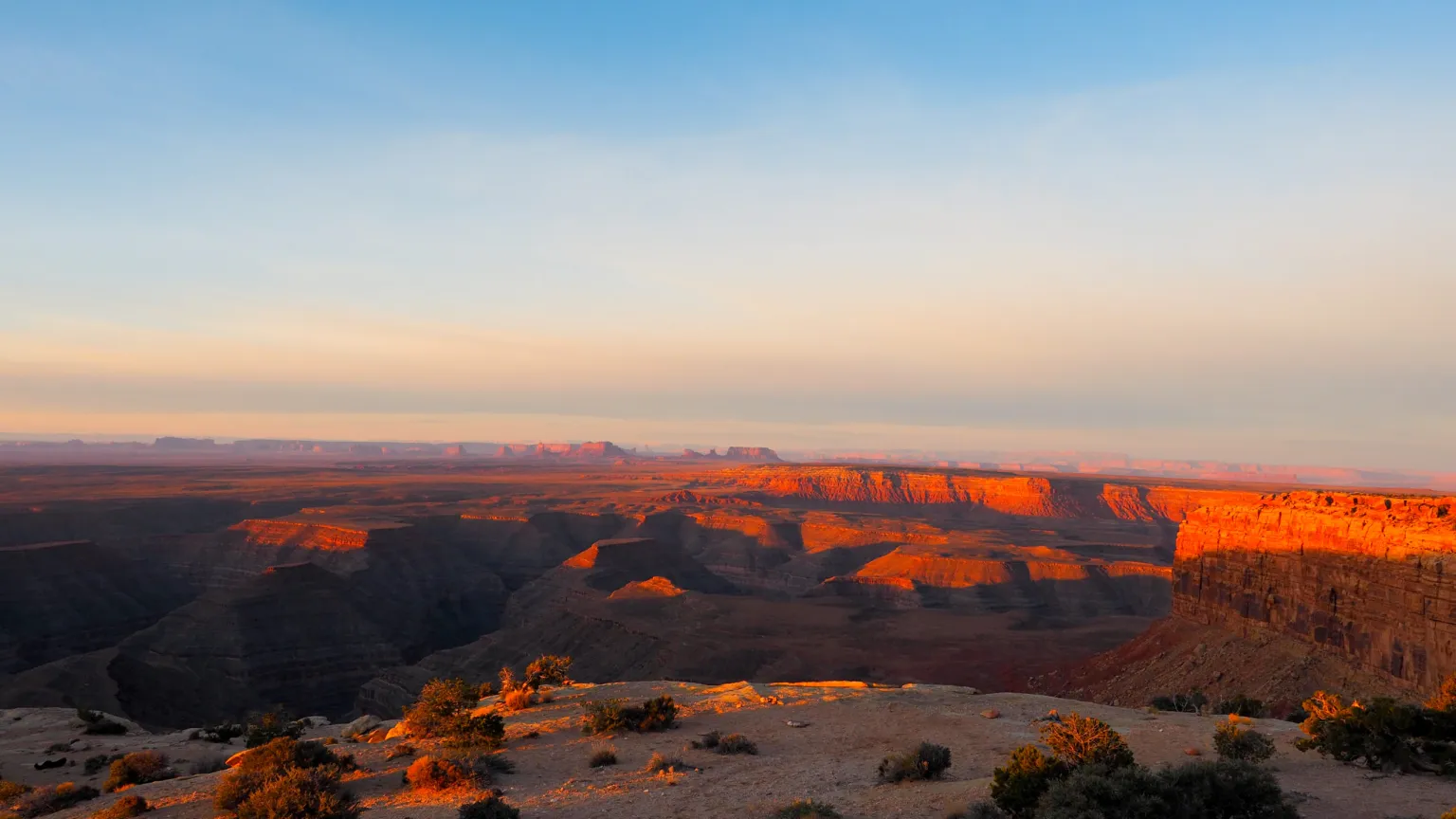 The Desert Eye - Freeflow Institute